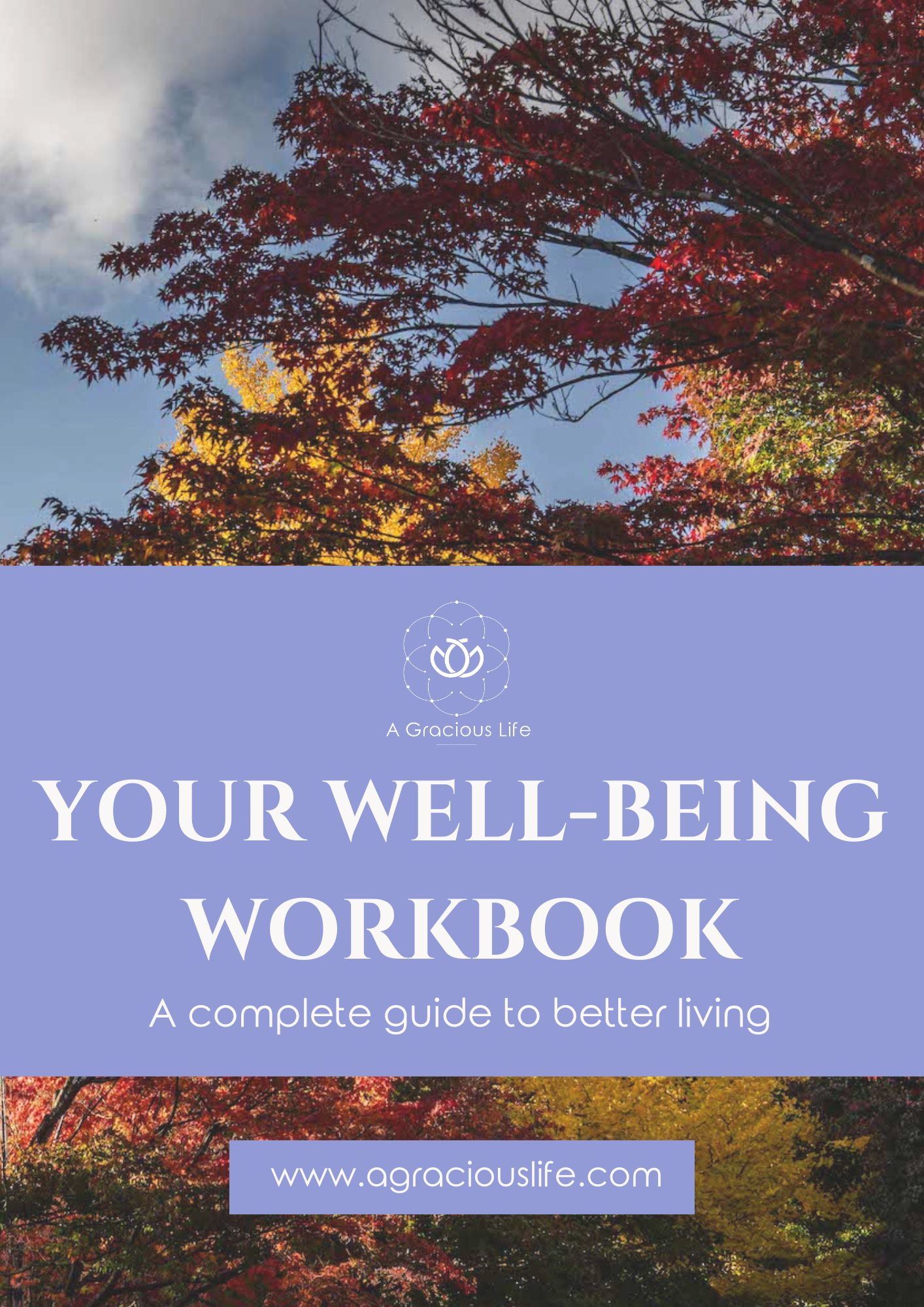 The Way - Wellbeing Workbook