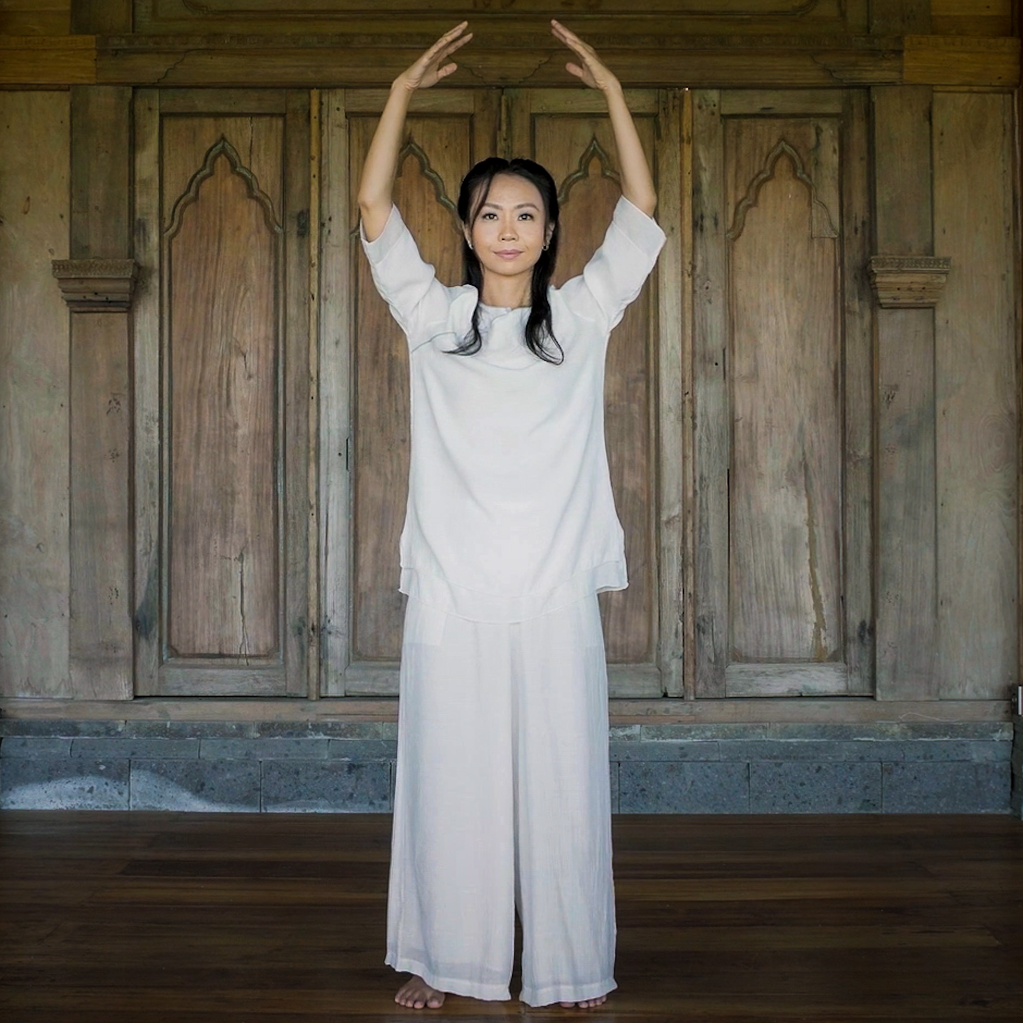 Qi Gong Systems